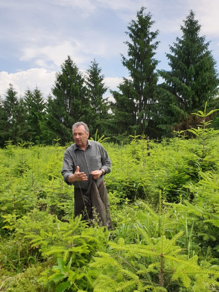 Gheorghe Mihăilescu, numit director general al Romsilva pentru ...