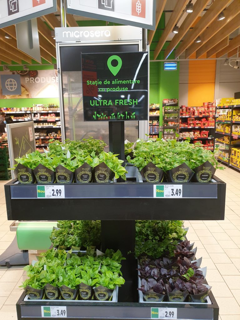 Grădinile verticale și MicroSera - soluții pentru industria HoReCa ...