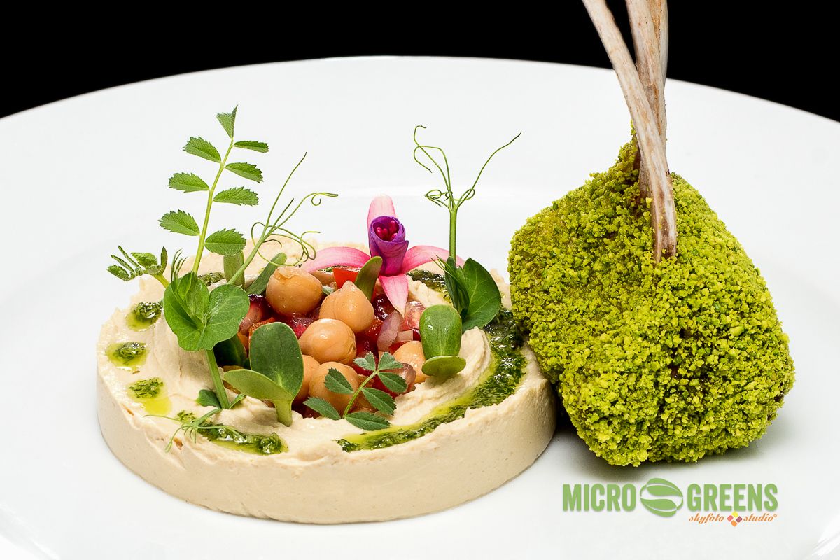 Grădinile verticale și MicroSera - soluții pentru industria HoReCa ...