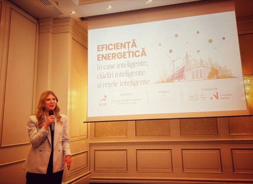 Livia Stan, E.ON România: "Schimbarea mix-ului energetic la o ...