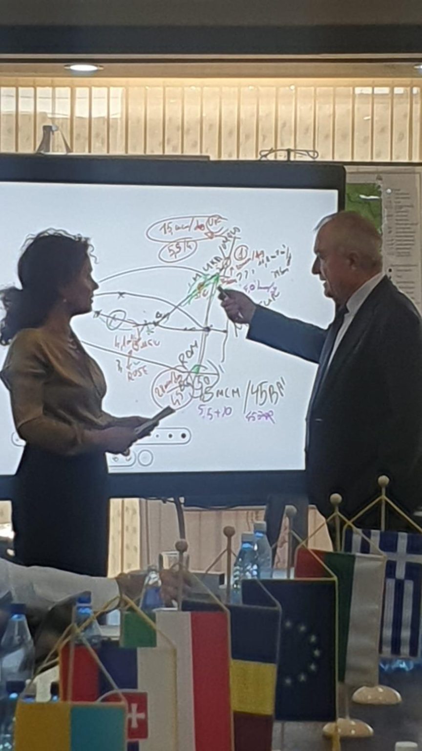 Jeffrey Pyatt: “Coridorul Vertical este un proiect vizionar pentru ...