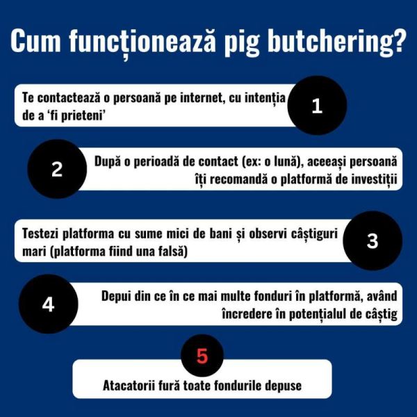 DNSC: Tentativele de fraudă de tip pig butchering vizează utilizatori ...